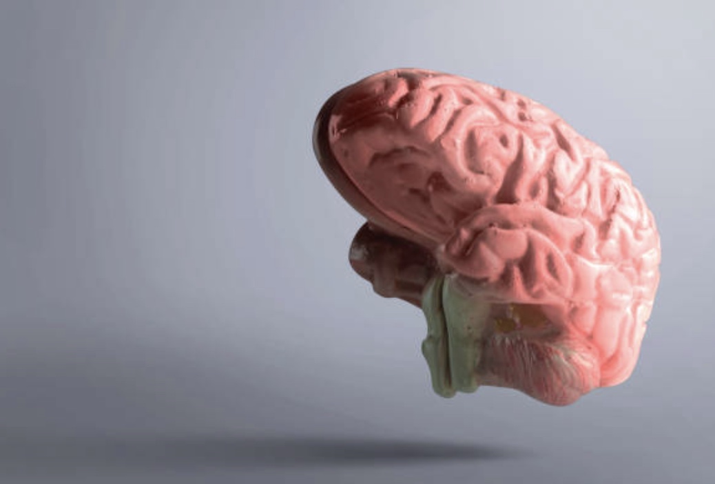How to clear negative emotional memory in your Frontal Lobe — Rosan ...